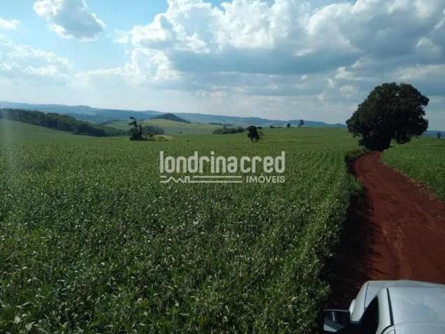 Terreno em Rural, Assaí/PR de 10m² à venda por R$ 1.175.000,00