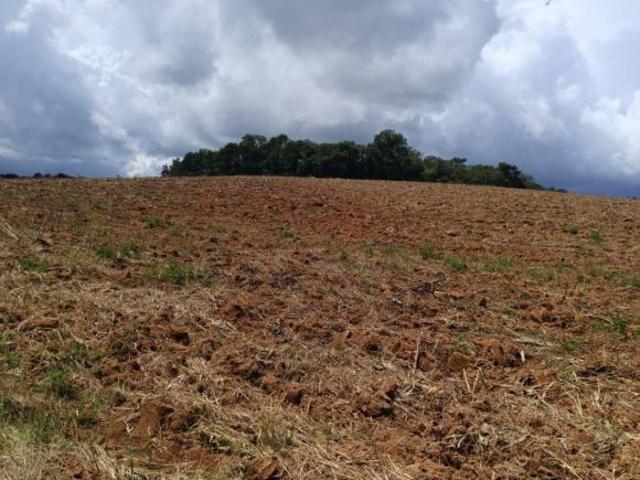 Terreno em Região Tranquila de Ibiúna