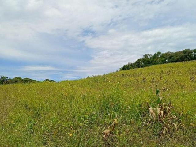 Terreno em Região Tranquila de Ibiúna