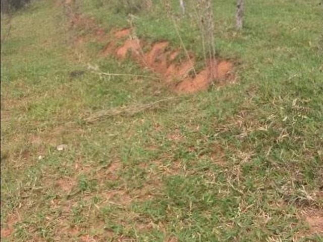 Terreno em Residencial Prado, Birigüi/SP de 36432m² à venda por R$ 1.999.000,00