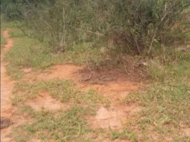 Terreno em Residencial Prado, Birigüi/SP de 36432m² à venda por R$ 2.000.000,00