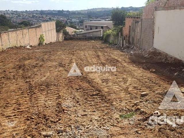 Terreno em Ronda, Ponta Grossa/PR de 660m² à venda por R$ 349.000,00