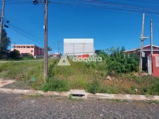 Terreno em Ronda, Ponta Grossa/PR de 448m² à venda por R$ 400.000,00