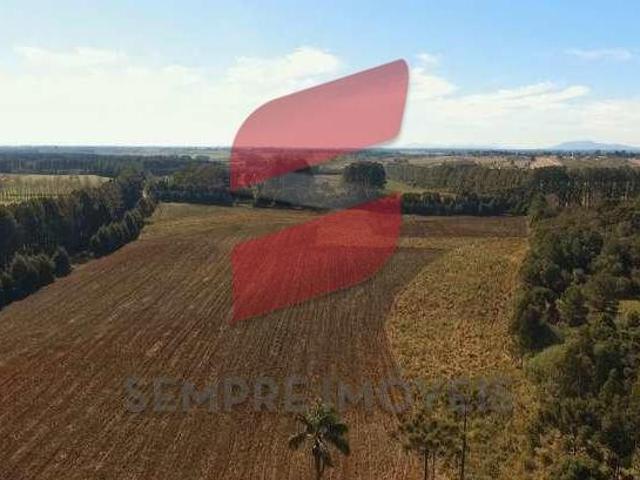 Terreno em Roseira, São José dos Pinhais/PR de 20045m² à venda por R$ 1.675.212,00
