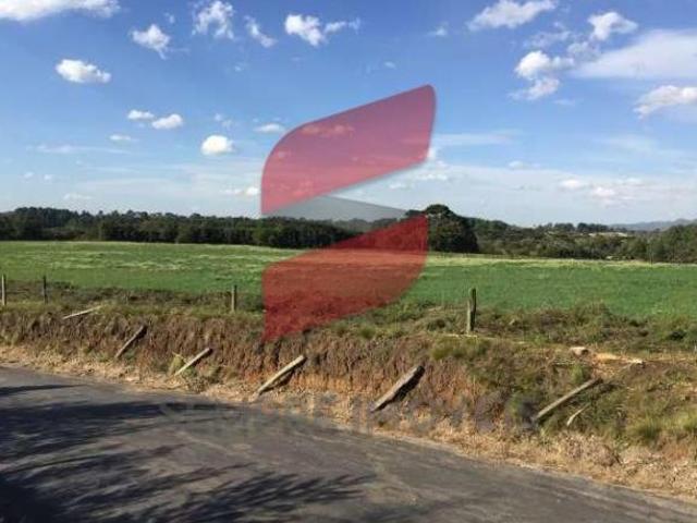 Terreno em Roseira, São José dos Pinhais/PR de 20000m² à venda por R$ 3.740.000,00