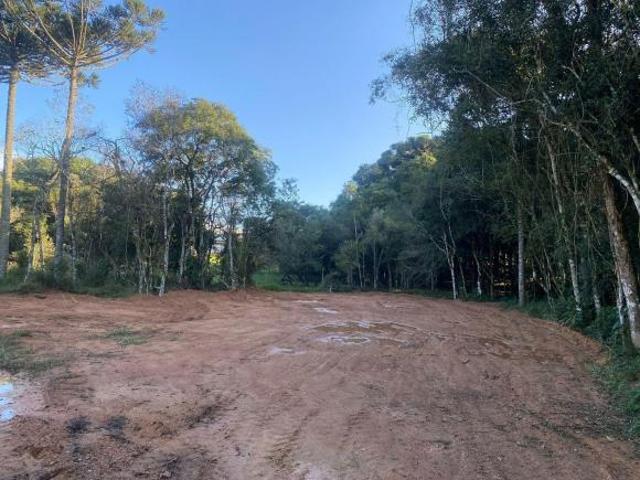 Terreno em Roseira, São José dos Pinhais/PR de 2000m² à venda por R$ 320.000,00