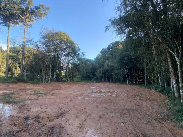 Terreno em Roseira, São José dos Pinhais/PR de 2000m² à venda por R$ 319.000,00