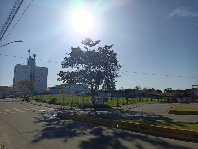 Terreno em São Vicente, Itajaí/SC de 4000m² à venda por R$ 7.249.000,00