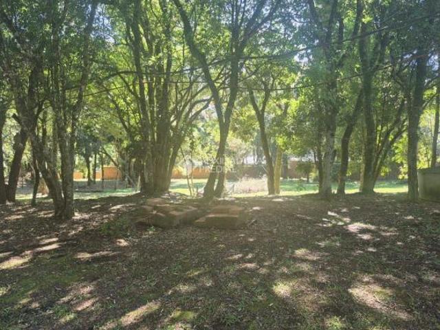 Terreno em São Virgílio, Caxias do Sul