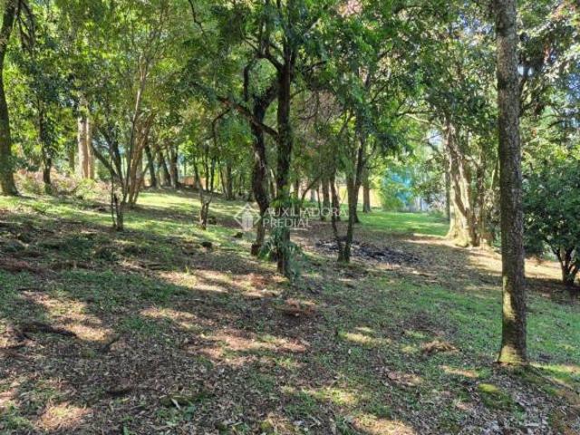 Terreno em São Virgílio, Caxias do Sul