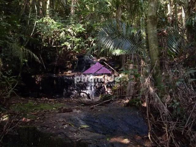 Terreno em São Francisco Xavier, São José dos Campos/SP de 10m² à venda por R$ 2.199.000,00