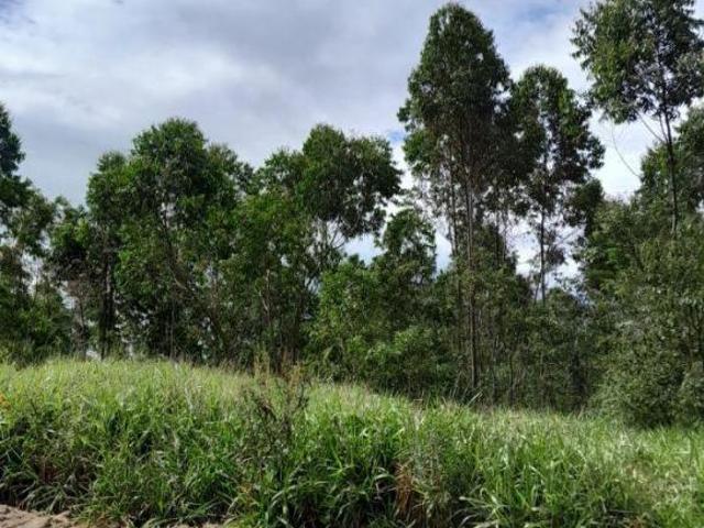 Terreno em São João Novo com Grande Potencial