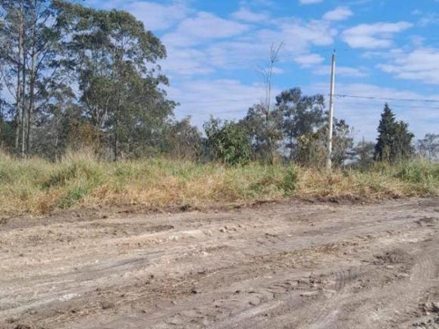 Terreno em São João Novo com Grande Potencial