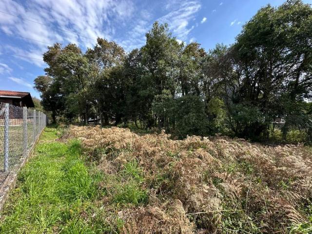 Terreno em São Luiz, Caxias do Sul/RS de 660m² à venda por R$ 419.900,00