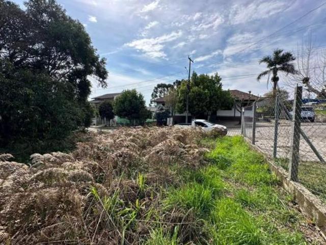 Terreno em São Luiz, Caxias do Sul/RS de 660m² à venda por R$ 420.000,00