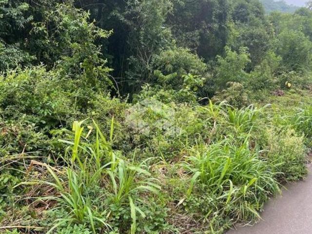 Terreno em São Luiz da 6ª légua