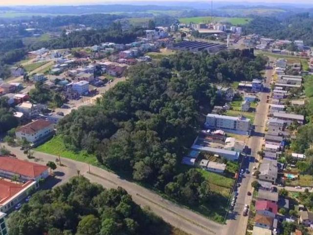 Terreno em São Pelegrino, Veranópolis/RS de 457m² à venda por R$ 169.825,00
