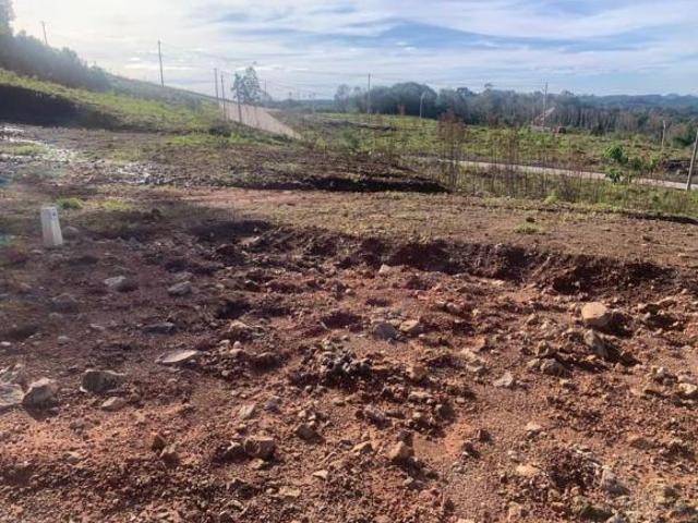 Terreno em São Roque, Bento Gonçalves/RS de 259m² à venda por R$ 130.000,00