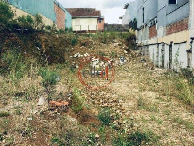 Terreno em Sagrada Família, Caxias do Sul/RS de 748m² à venda por R$ 899.000,00