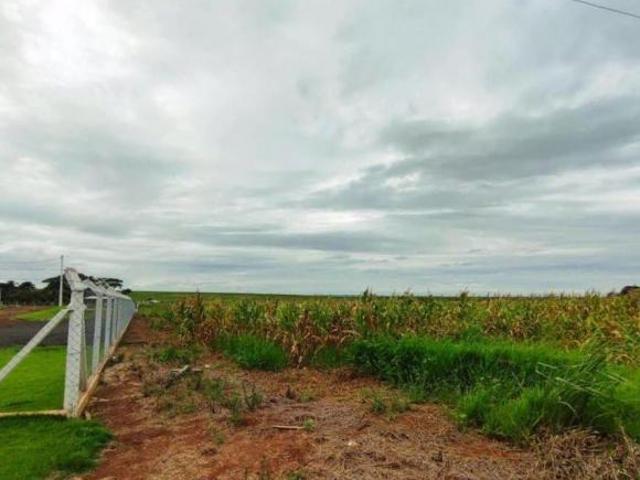 Terreno em Santa Bárbara D&apos oeste