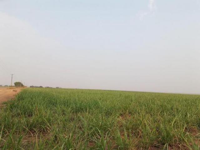 Terreno em Santa Bárbara D&apos oeste