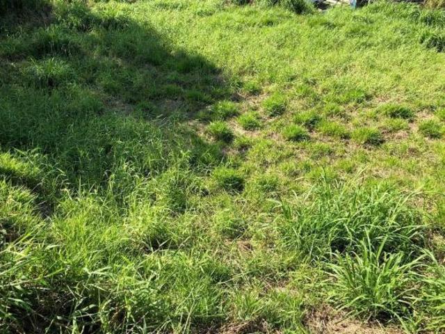 Terreno em Santa Luzia, Ribeirão Pires/SP de 545m² à venda por R$ 340.000,00