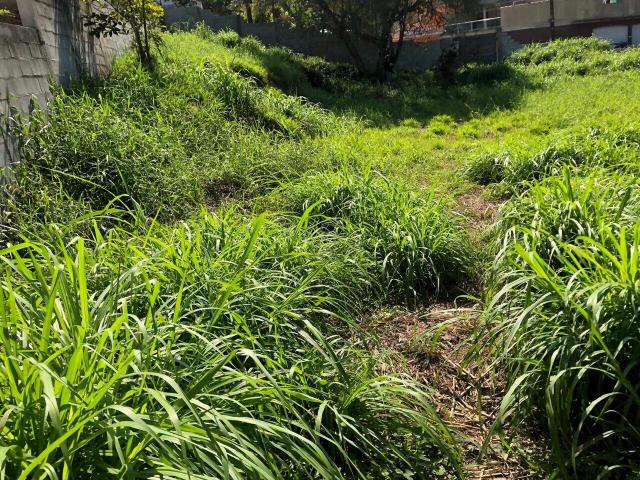 Terreno em Santa Luzia, Ribeirão Pires/SP de 545m² à venda por R$ 339.900,00