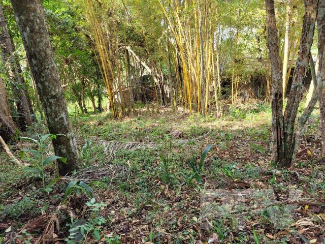 Terreno em Santa Rosa, Teresópolis/RJ de 1430m² à venda por R$ 449.900,00