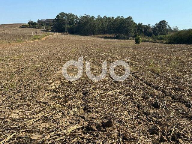 Terreno em Santa Terezinha, Piracicaba/SP de 99777m² à venda por R$ 9.910.660,00