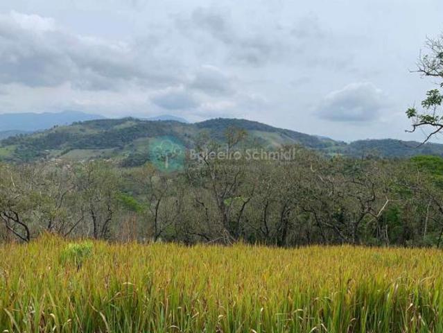 Terreno em Santo Antônio do Pinhal Mata Nativa e Vista para a Pedra do Baú