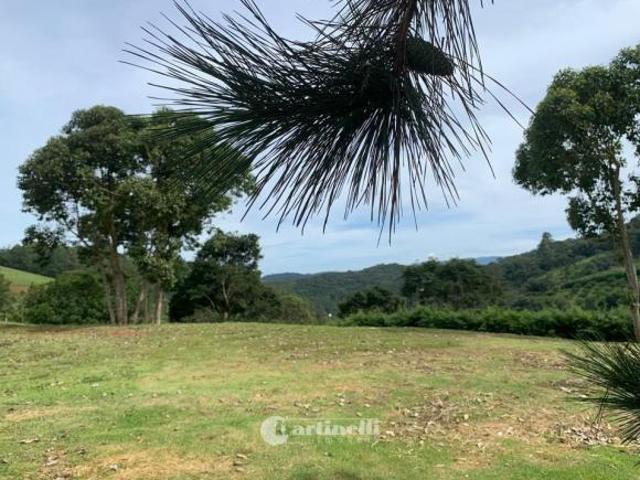 Terreno em Santo Antônio do Pinhal, 5.000m2, condomínio fechado