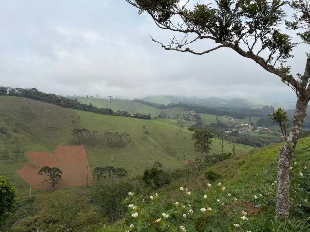 Terreno em, Santo Antônio do Pinhal/SP de 10m² à venda por R$ 579.000,00