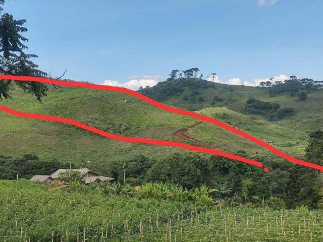 Terreno em, Santo Antônio do Pinhal/SP de 86000m² à venda por R$ 1.200.000,00