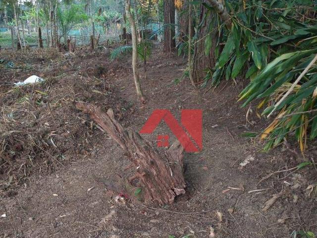 Terreno em Sé, São Paulo/SP de 0m² à venda por R$ 374.000,00