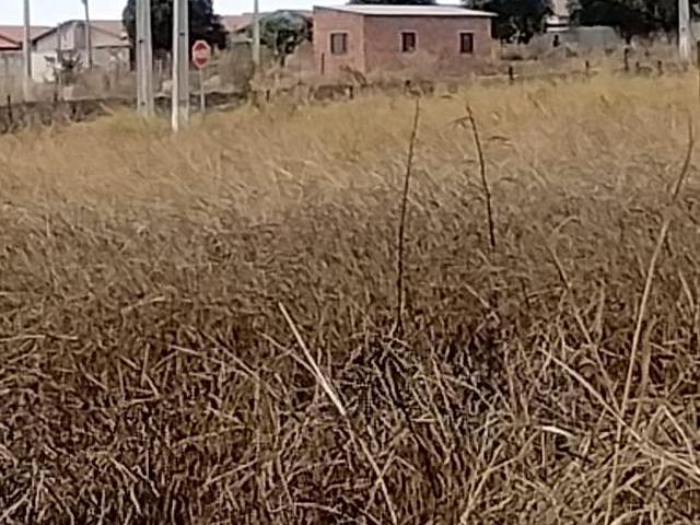 Terreno em Setor Central, Edéia/GO de 1000m² à venda por R$ 220.000,00