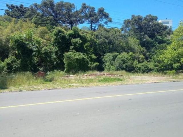 Terreno em Simonaggio, Garibaldi/RS de 844m² à venda por R$ 250.000,00