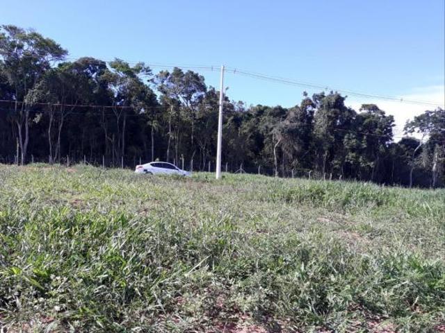 Terreno em Sítio Boa Vista, Cotia/SP de 0m² à venda por R$ 350.000,00