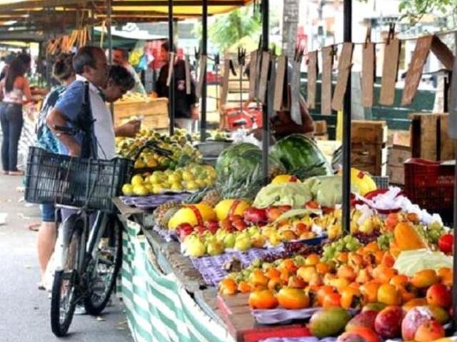 Terreno com 2 quartos à venda em Vila santa terezinha zona norte SP
