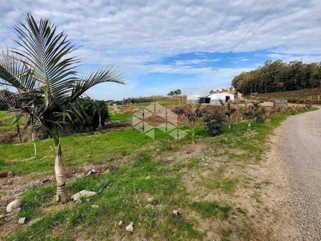 Terreno em Tuiuty medindo 6.666m²