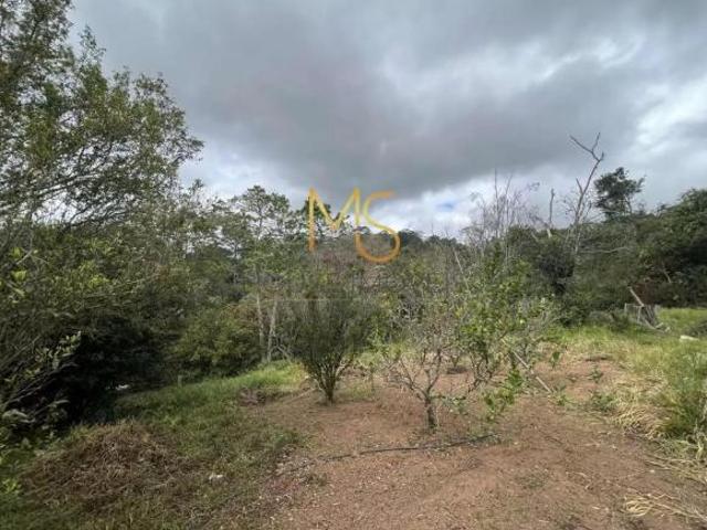 Terreno em Taboleiro Verde, Cotia/SP de 18455m² à venda por R$ 7.000.000,00