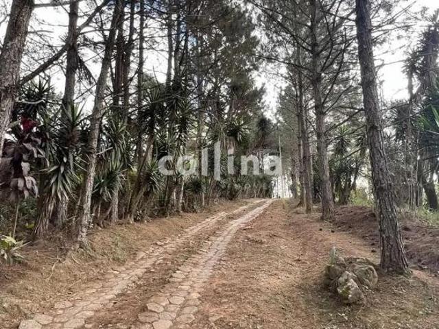 Terreno em Taboleiro Verde, Cotia/SP de 10m² à venda por R$ 2.200.000,00