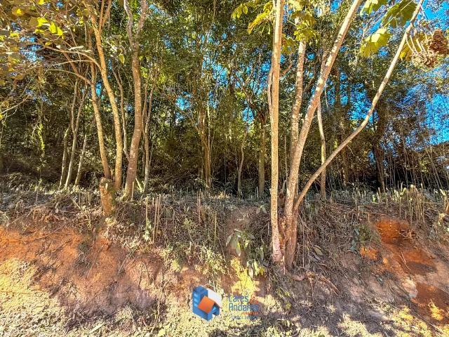 Terreno em Tanque Caio, Ribeirão Pires/SP de 2930m² à venda por R$ 289.000,00
