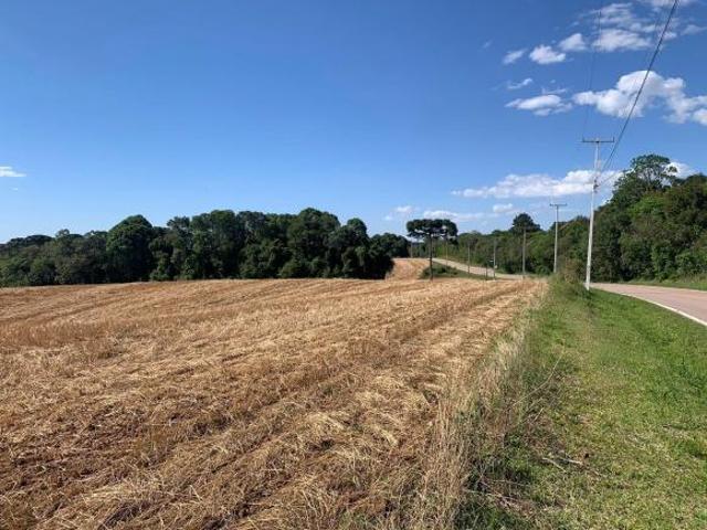 Terreno em Tietê, Araucária/PR de 119000m² à venda por R$ 1.785.000,00