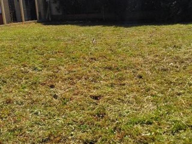 terreno em tramandaí