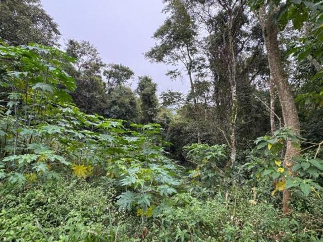 Terreno em Transurb, Itapevi/SP de 0m² à venda por R$ 280.000,00