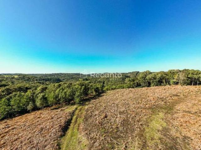 Terreno em Tres Coroas, Tres Coroas/RS de 5000m² à venda por R$ 1.200.000,00