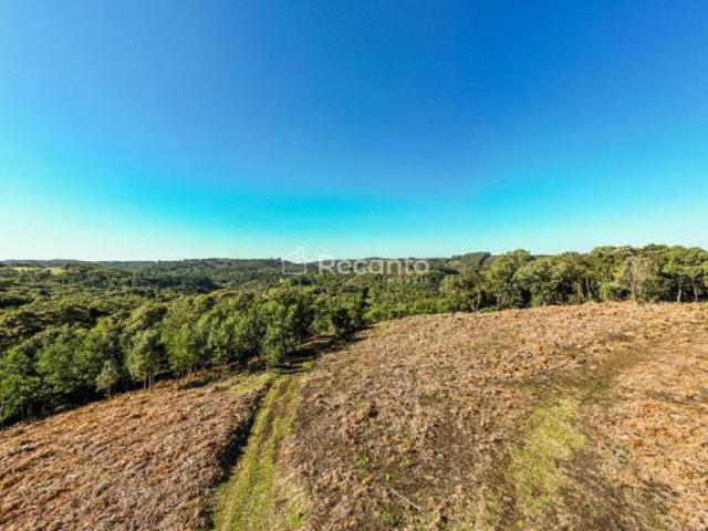 Terreno em Tres Coroas, Tres Coroas/RS de 5000m² à venda por R$ 1.200.000,00