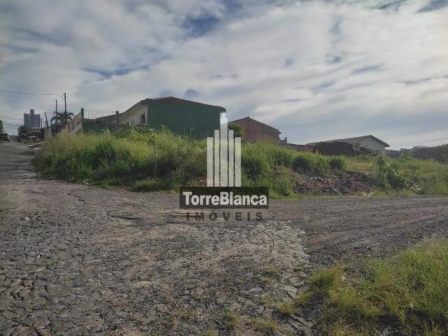Terreno em Uvaranas, Ponta Grossa/PR de 462m² à venda por R$ 249.900,00