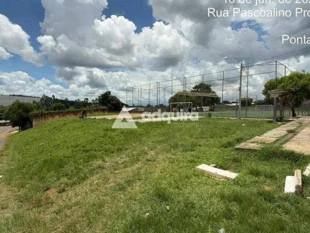 Terreno em Uvaranas, Ponta Grossa/PR de 10m² à venda por R$ 210.000,00