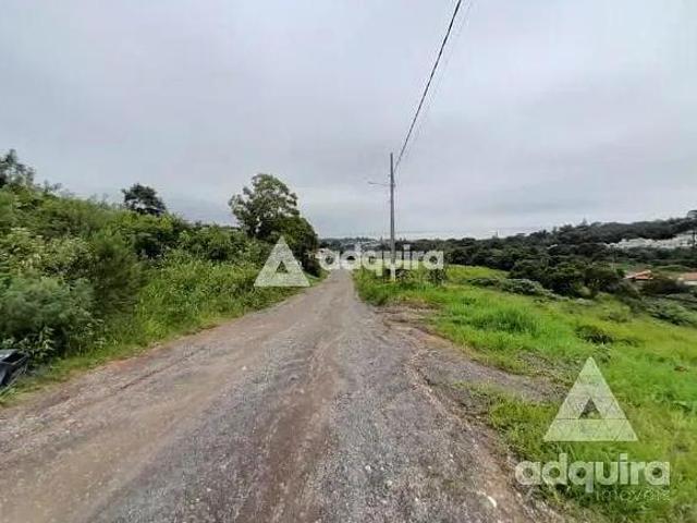 Terreno em Uvaranas, Ponta Grossa/PR de 490m² à venda por R$ 75.000,00
